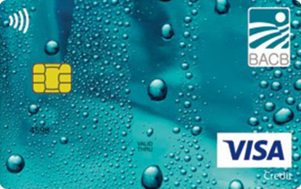 VISA Classic International Revolving Credit Card with Grace Period ...