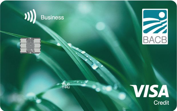 International Visa Revolving Credit Card with no Collateral / Credit ...